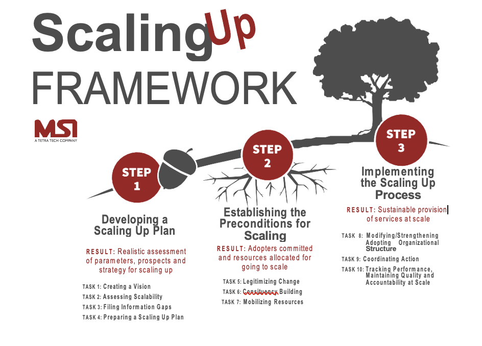 Tipping the Scales: Moving from Projects to Scalable Solutions in ...