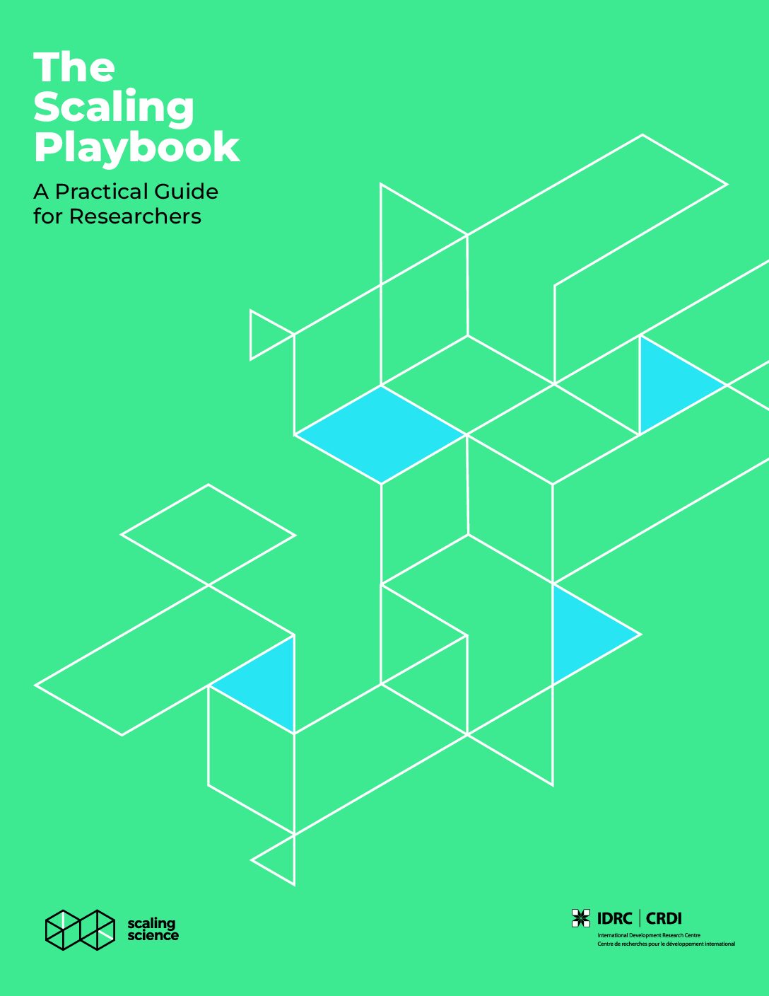 The Scaling Playbook – Scaling Community of Practice