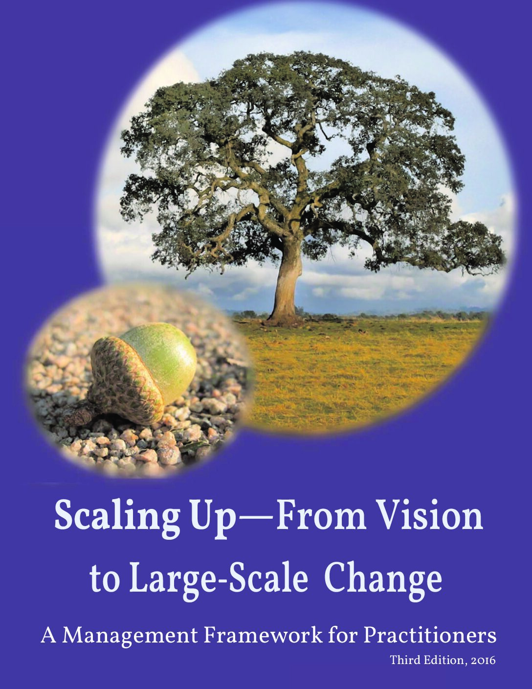 Scaling Up-From Vision to Large-Scale Change 3rd Edition – Scaling Community of Practice